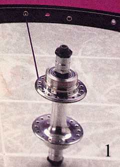 Bicycle Bike Repair Building Wheels Wheelbuilding Truing Lacing ...